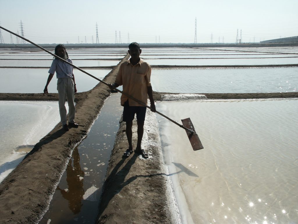 Landing Salt: Industry and the Structure of Places - Harvard Graduate ...