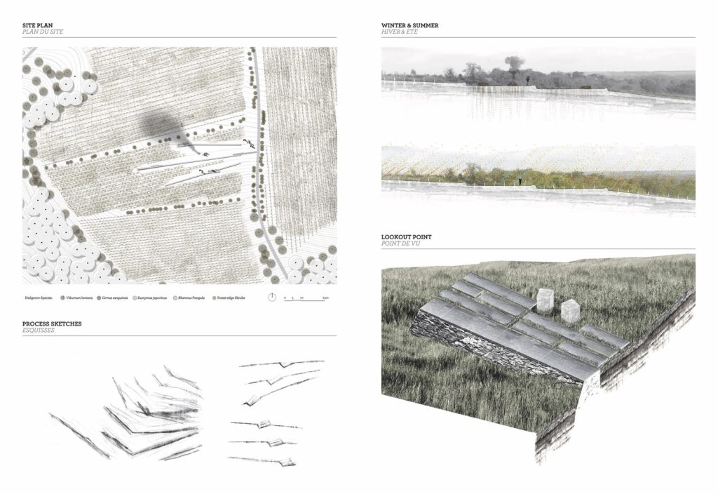 From Terroir to Territory: Vineyard Public Space - Harvard Graduate ...