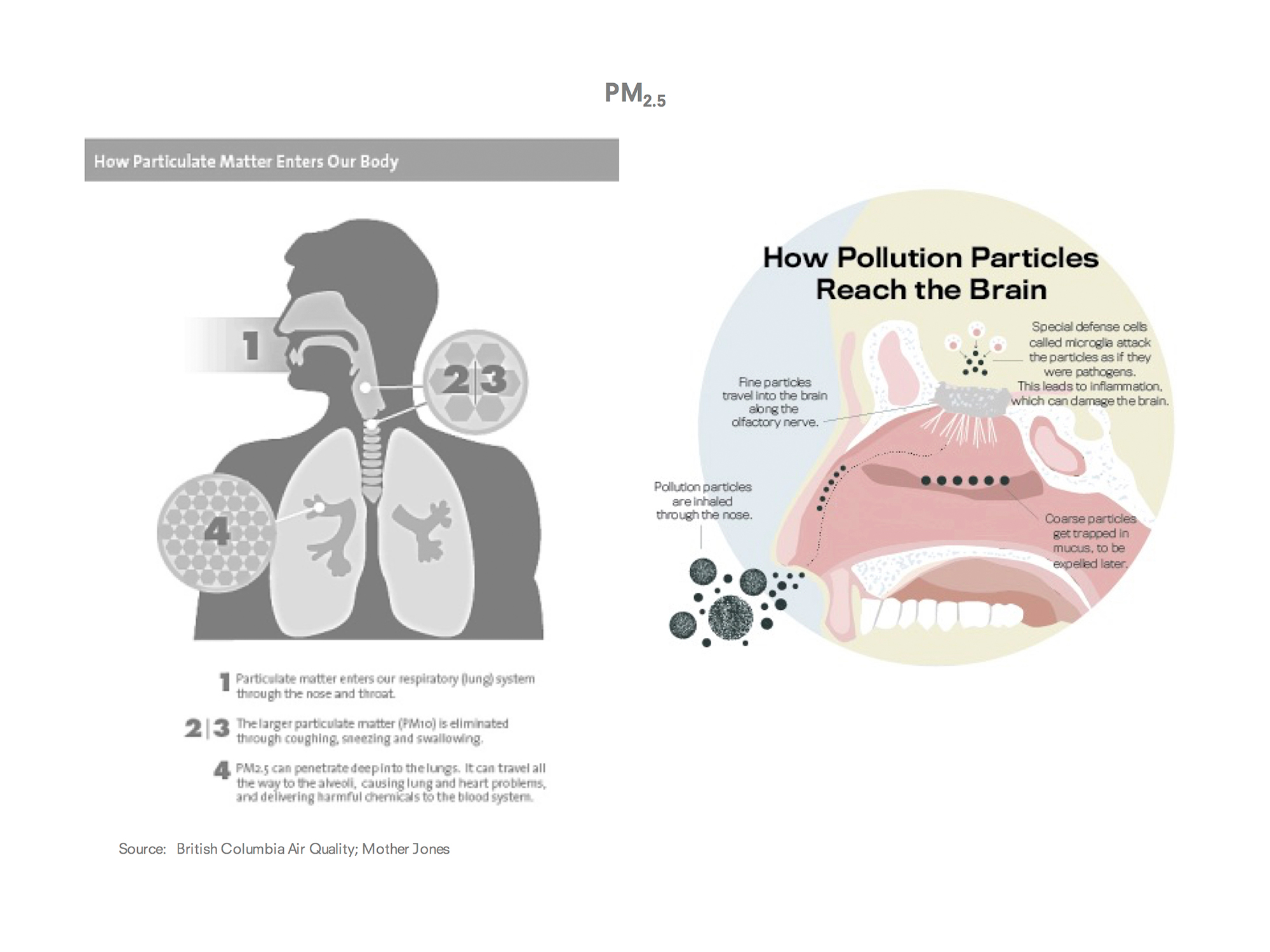 Particulate Matter Effects On Environment
