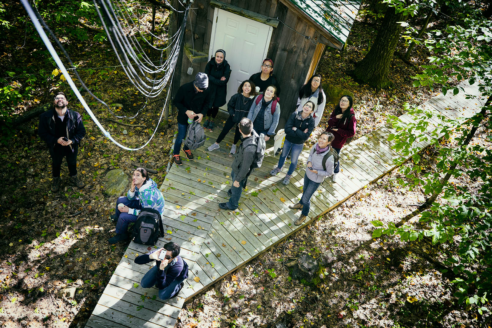 The Forest for the Trees: exploring the interplay of art, history, and ...