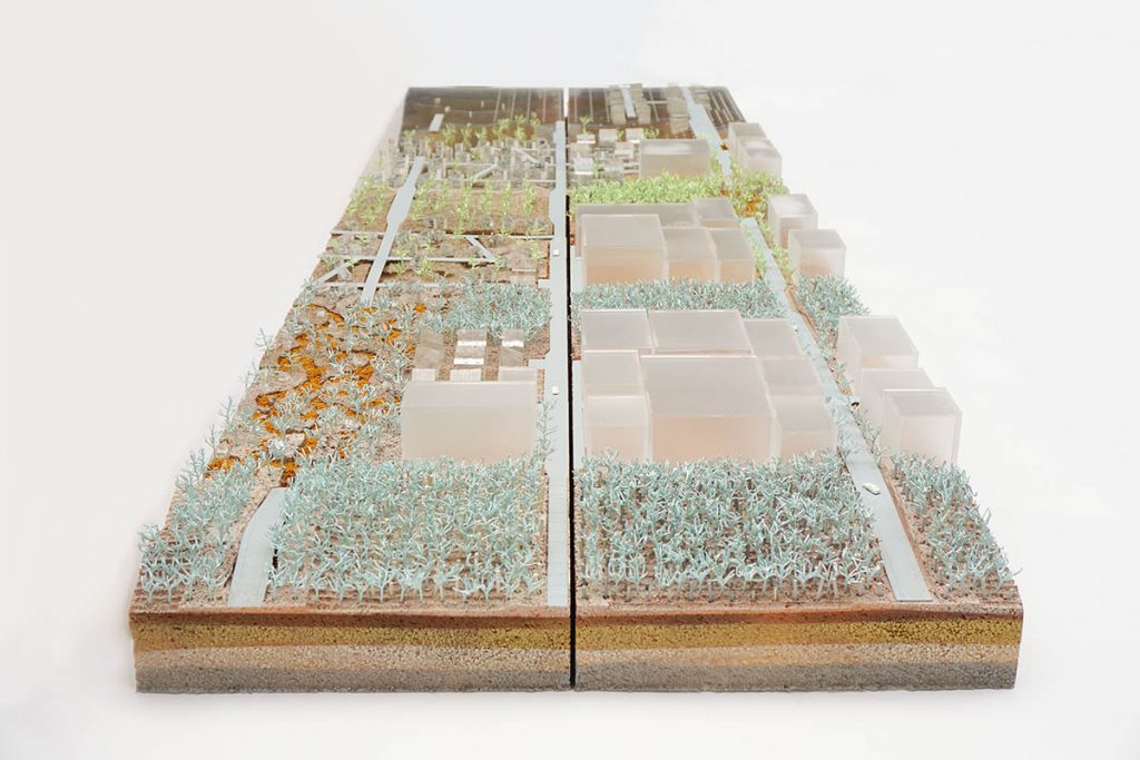 Stable/Unstable Grounds - Harvard Graduate School of Design