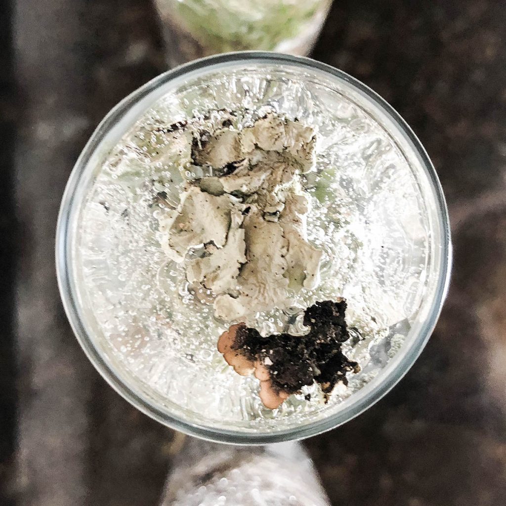 Tectonic Construction - Harvard Graduate School of Design