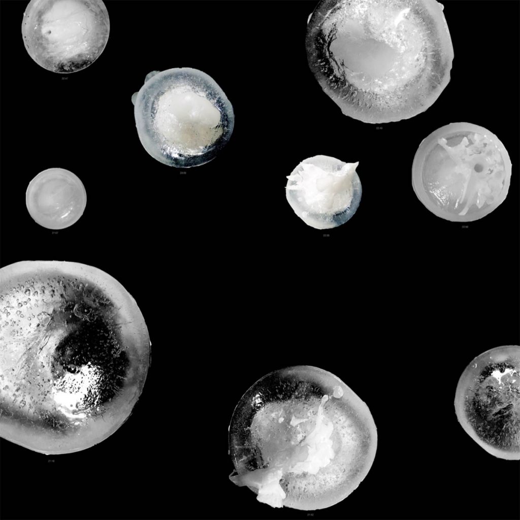 Tectonic Construction - Harvard Graduate School of Design