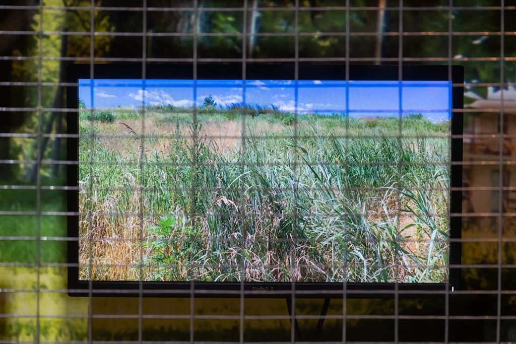 From Fallow - Harvard Graduate School of Design