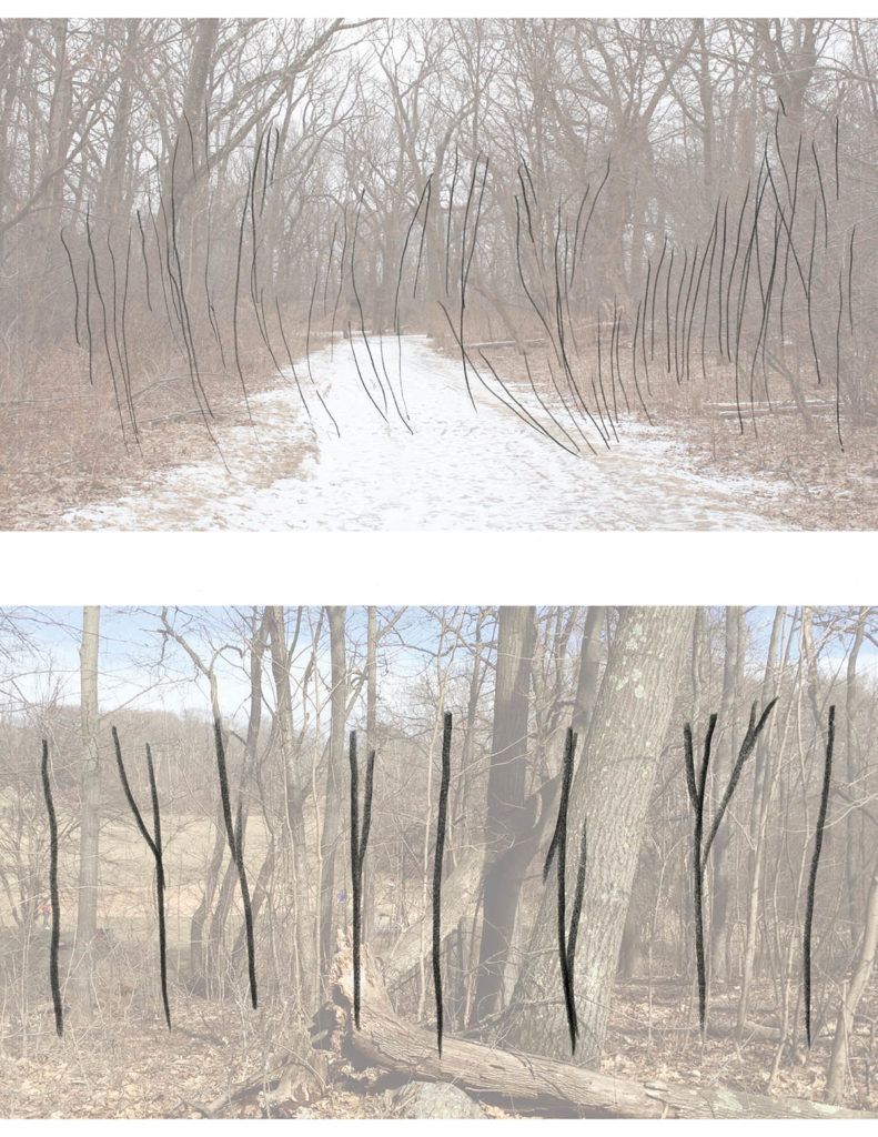 Vegetation Orientation: Franklin Park’s Way - Harvard Graduate School ...