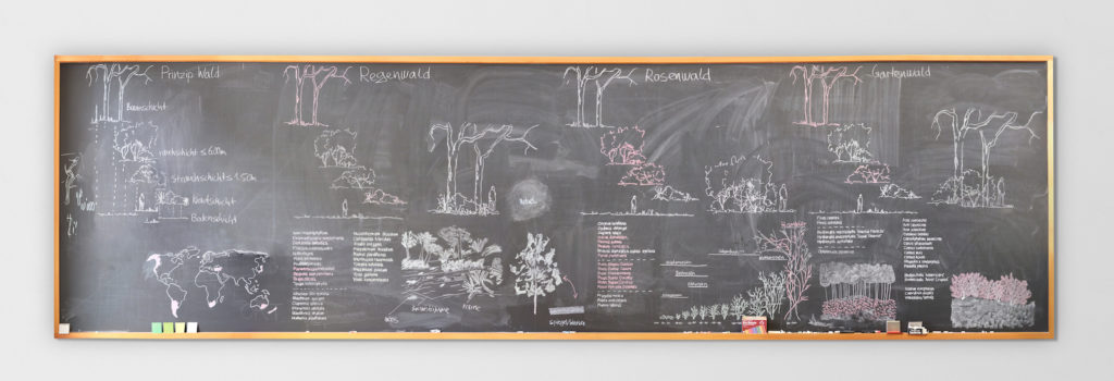 First the Forests - Harvard Graduate School of Design