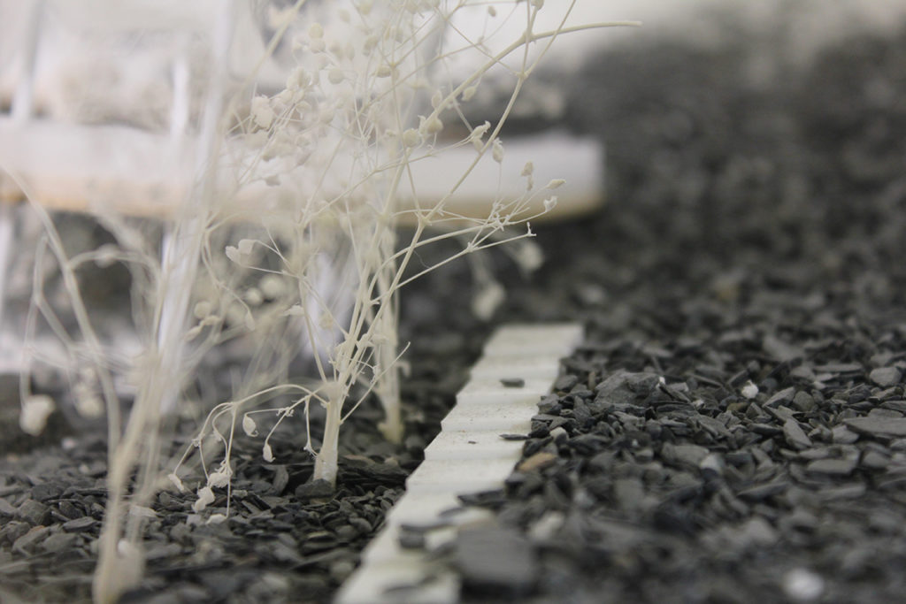 Hidden Landscape - Harvard Graduate School of Design