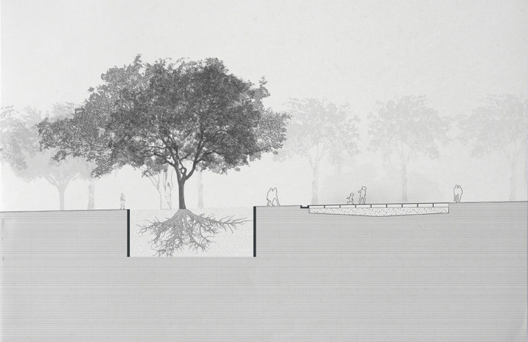 String-pieced Columns - Harvard Graduate School of Design