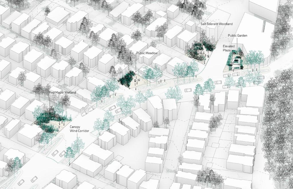 Rewilding the Urban Block: Constructing Permeability through Artificial ...