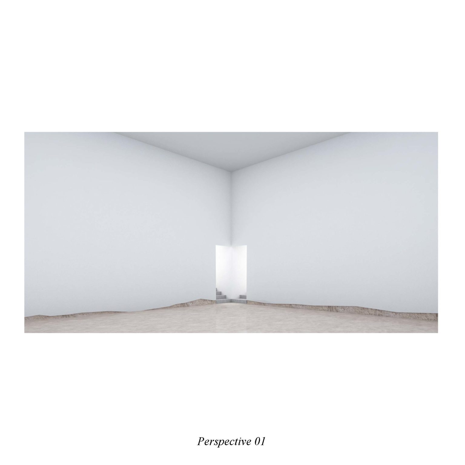 Hidden Room – Doubled Room - Harvard Graduate School of Design