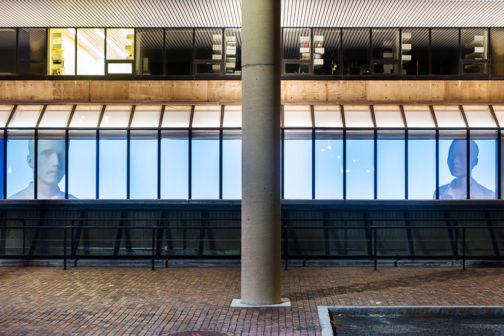 One Typology for a Big Word: Waiting Room of Democracy - Harvard ...