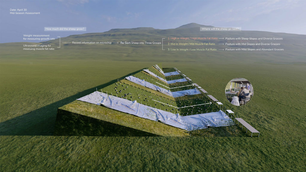 Ovis Versatilis: Icelandic Sheep Farm as Land Art Museum and Evolution ...
