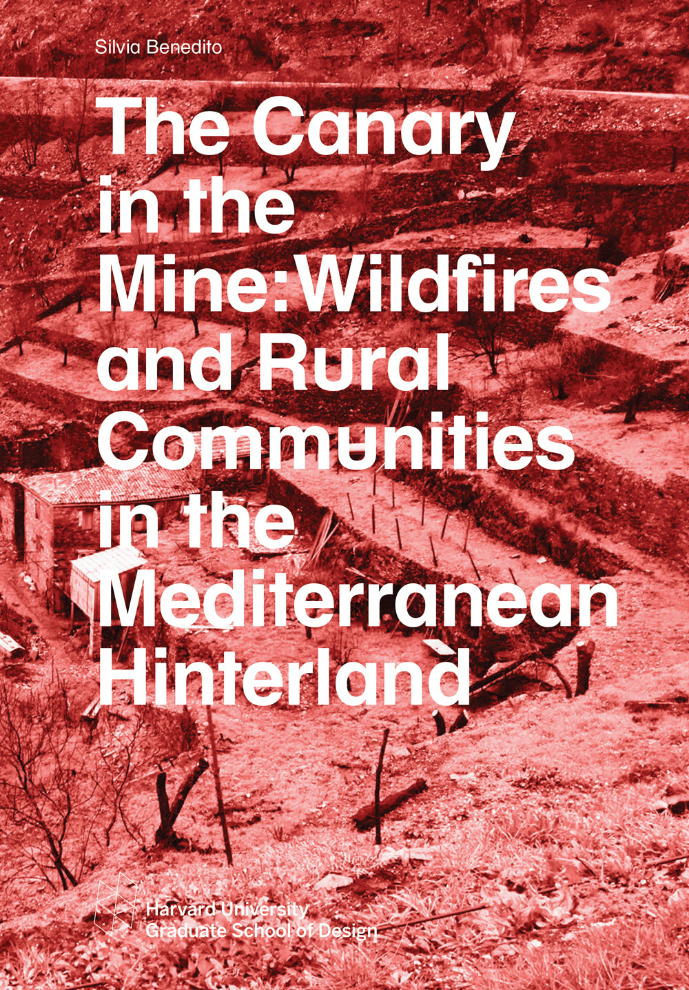 The Canary in the Mine: Wildfires and Rural Communities in the ...