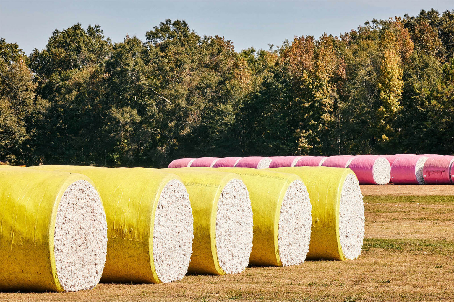 Designing Food Security in Rural Mississippi - Harvard Graduate School ...