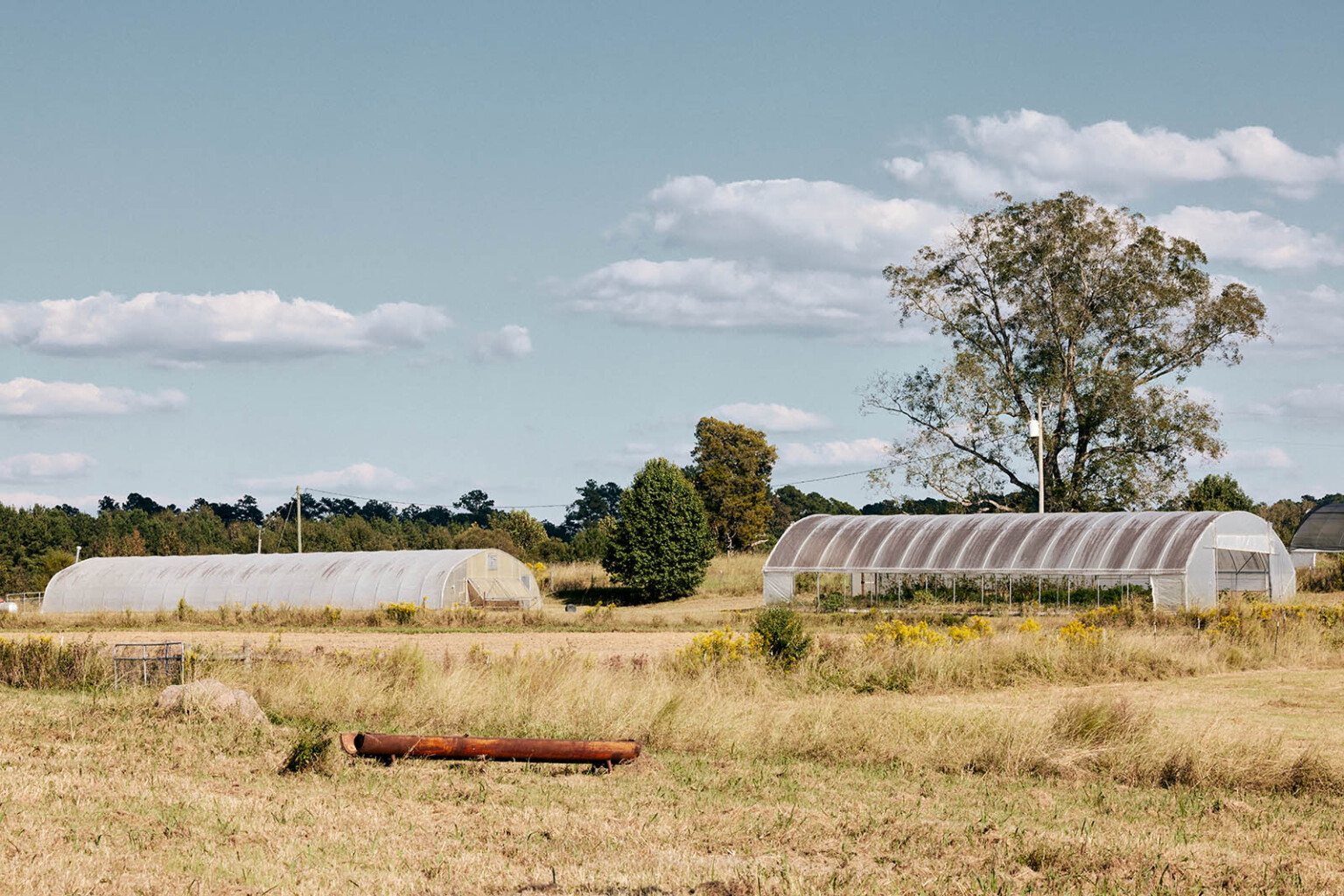 Designing Food Security in Rural Mississippi - Harvard Graduate School ...