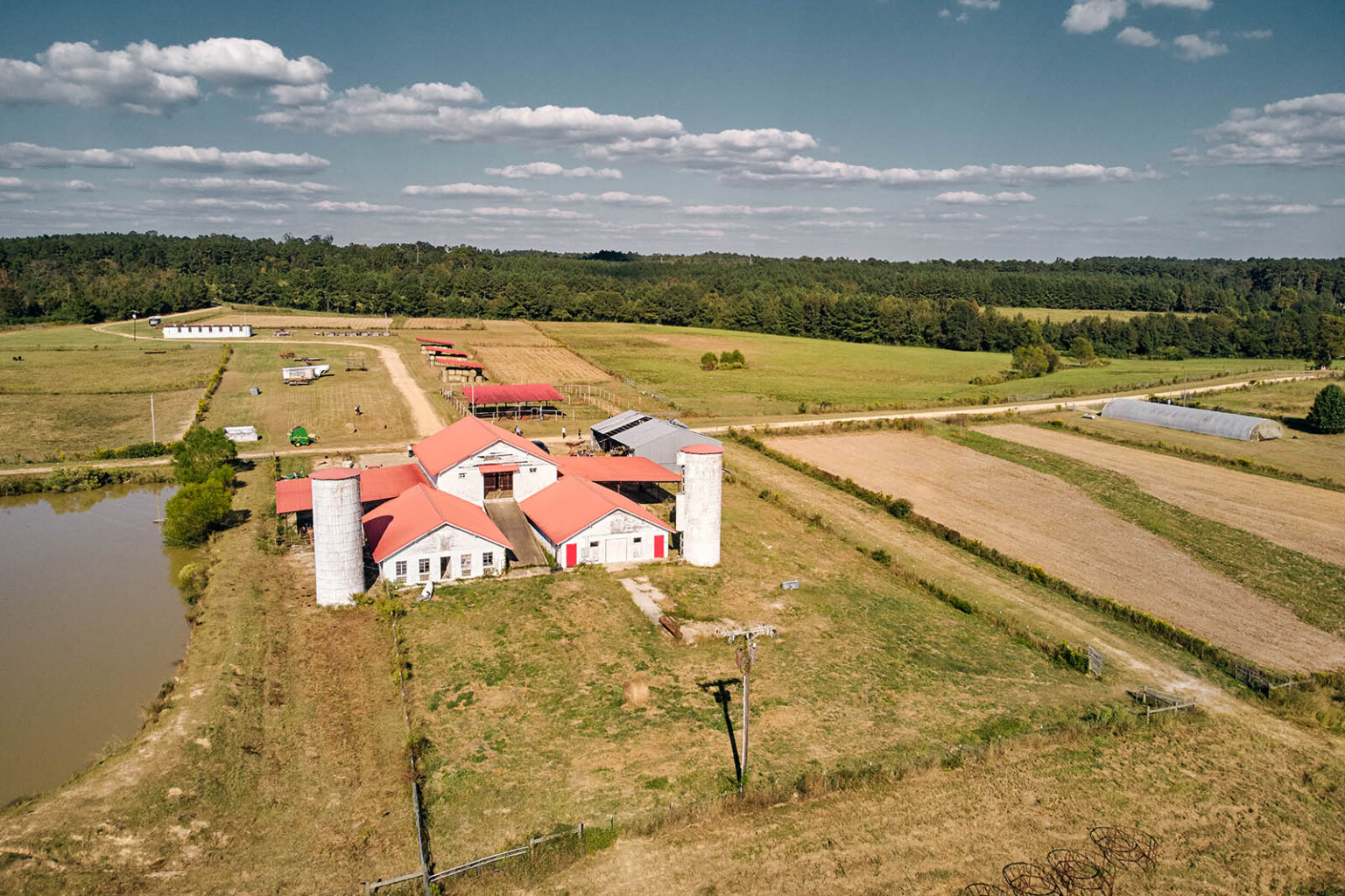 Designing Food Security in Rural Mississippi - Harvard Graduate School ...