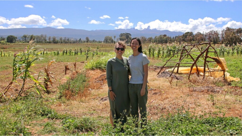 Jua: Cultivating Digital Knowledge Networks for Smallholder Farmers ...