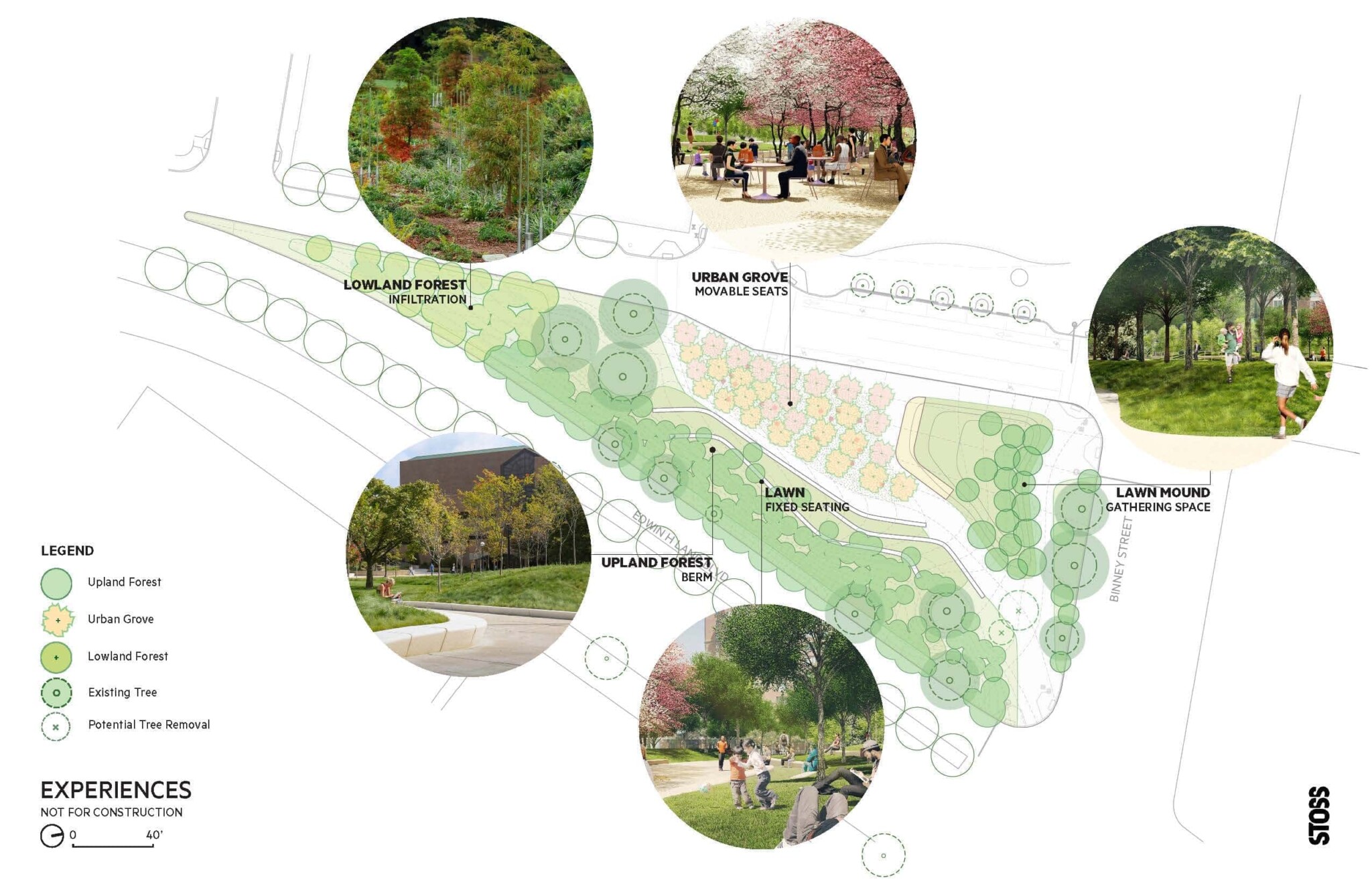 The Forest for the Trees (and the Birds, and the People, and the Planet ...