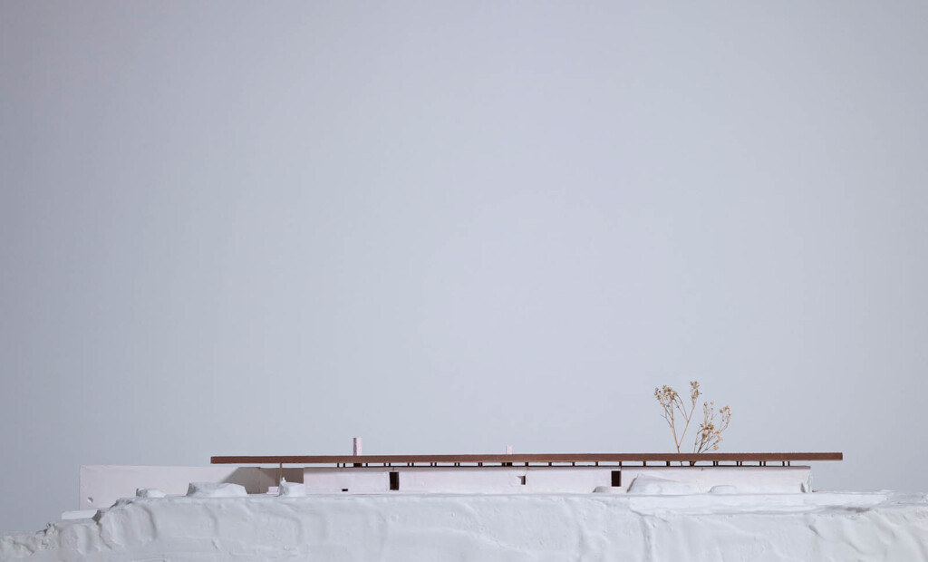 What Architect Zhang Ke Learns from the Yuanyang Rice Terraces