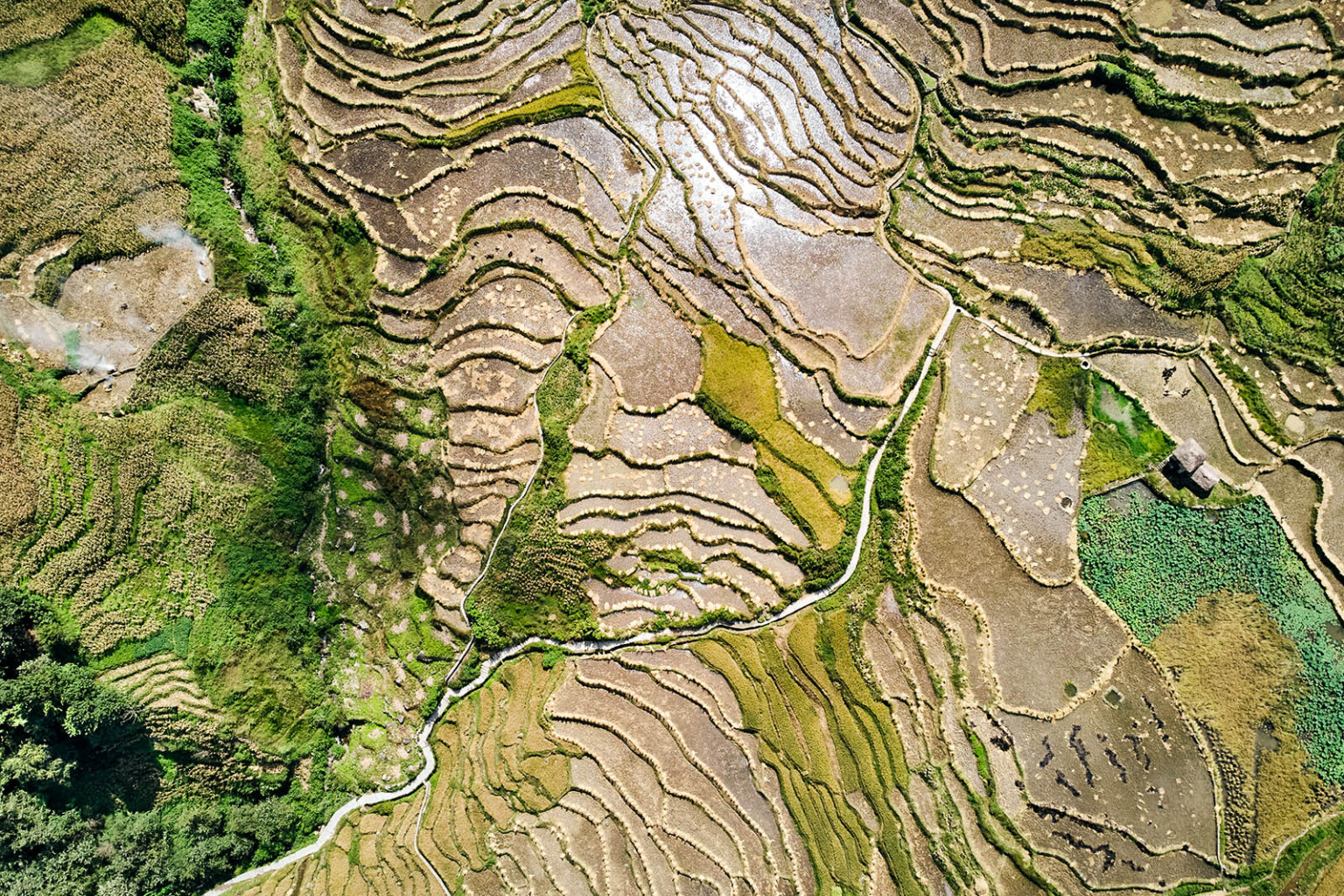 What Architect Zhang Ke Learns from the Yuanyang Rice Terraces