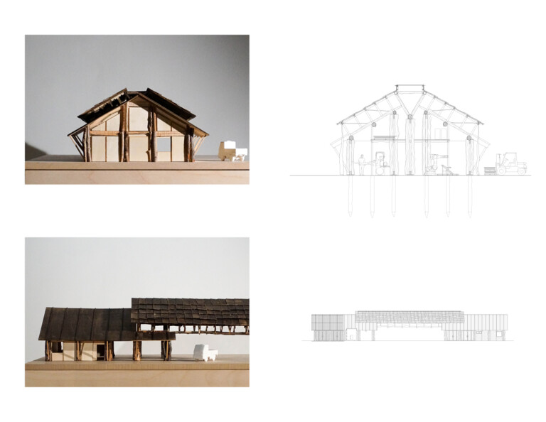 Form Follows Forest - Harvard Graduate School of Design