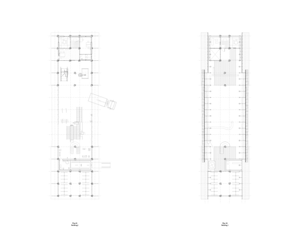 Form Follows Forest - Harvard Graduate School of Design