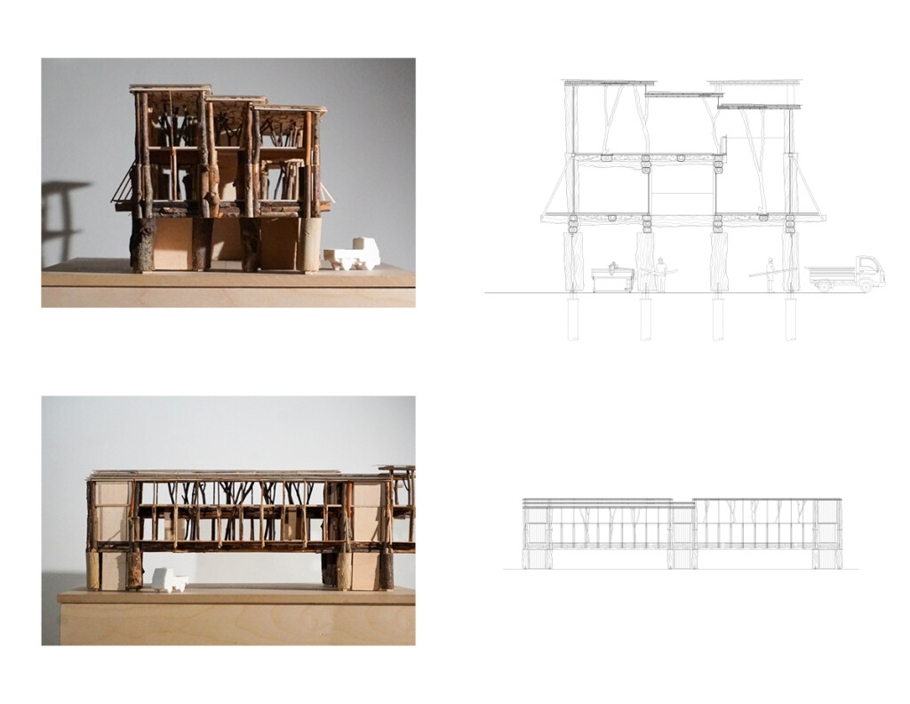 Form Follows Forest - Harvard Graduate School of Design