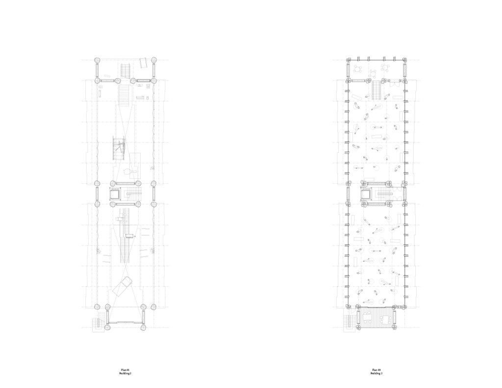 Form Follows Forest - Harvard Graduate School of Design