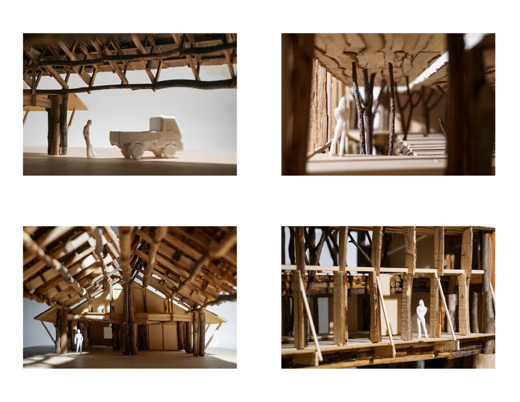 Form Follows Forest - Harvard Graduate School of Design