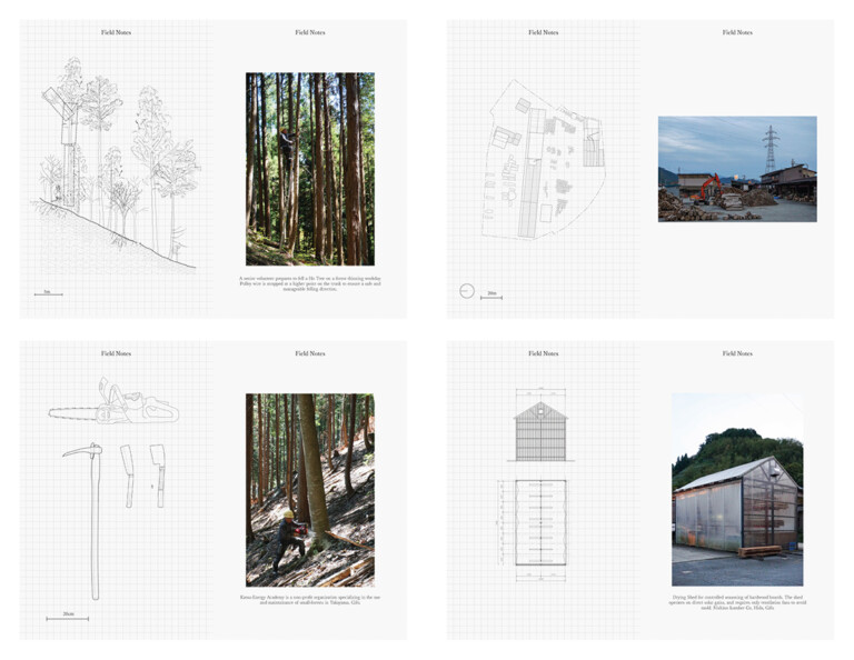 Form Follows Forest - Harvard Graduate School of Design